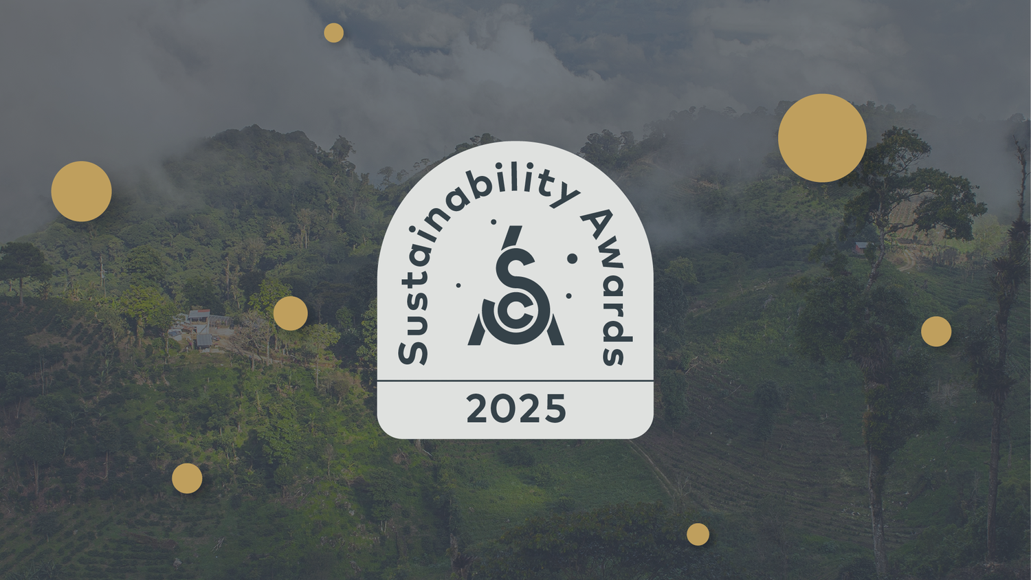 The Specialty Coffee Association Announces the Opening of Nominations ...